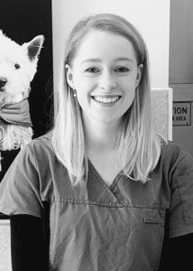 Tess - Reservoir Veterinary Clinic